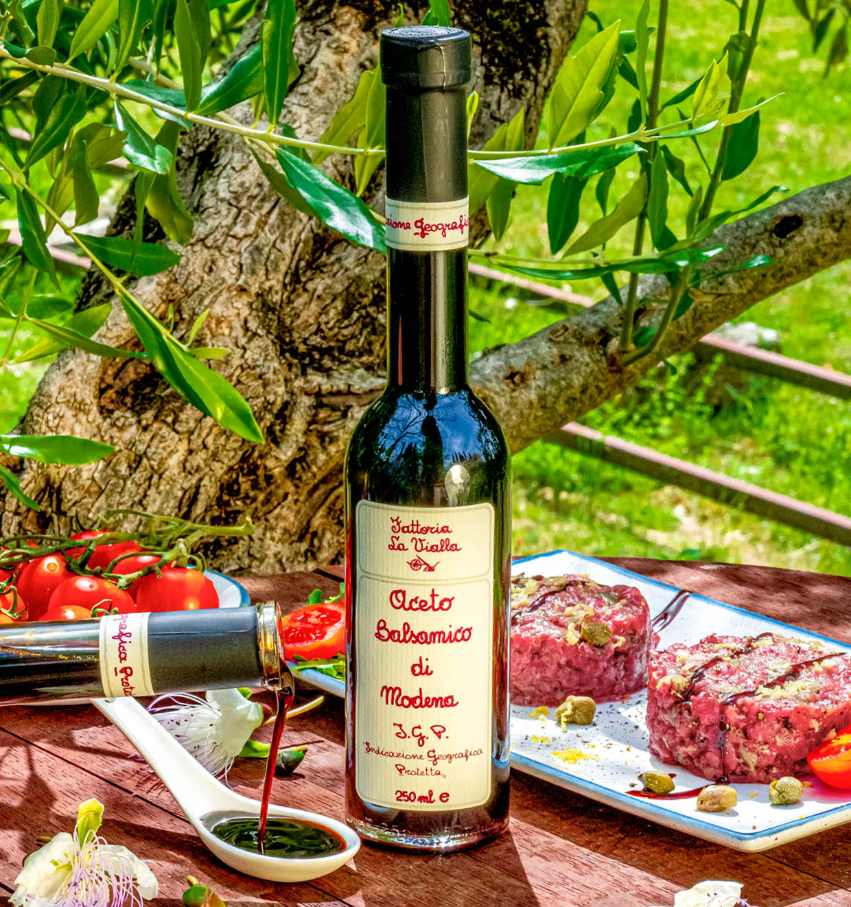 Balsamic vinegar Aceto Balsamico di Modena I.G.P (Box with 2 bottles of ...