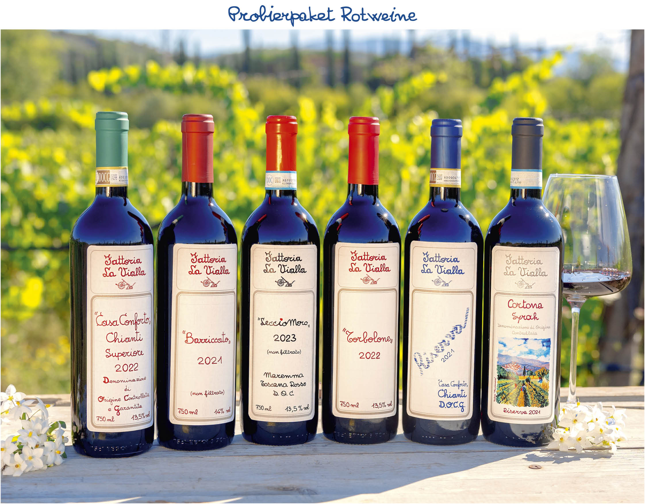 Probierpaket Rotweine | Fattoria La Vialla