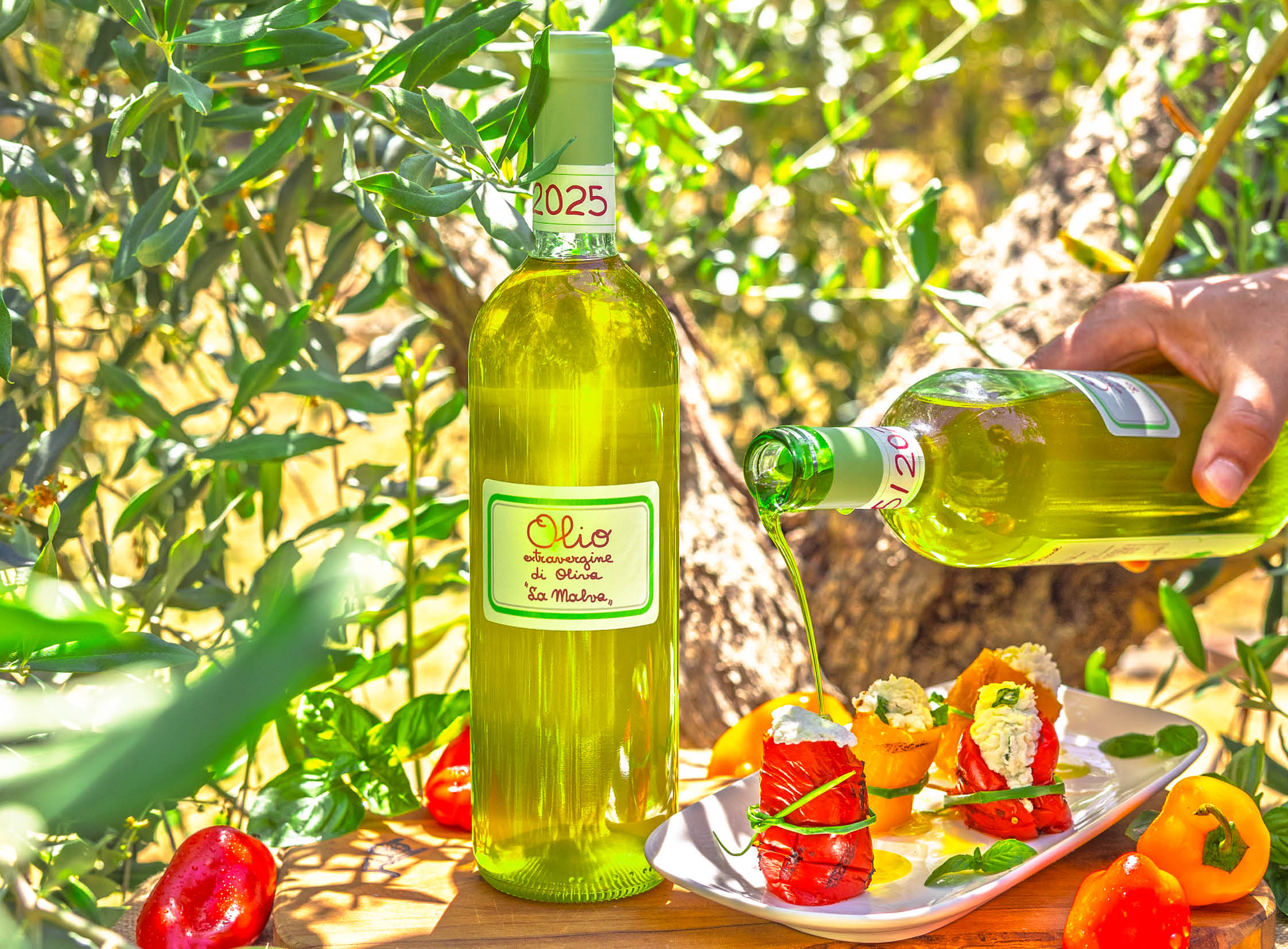 Extra Virgin Olive Oil 2025 'La Malva' (Box with 6 bottles of 0.75 l ...