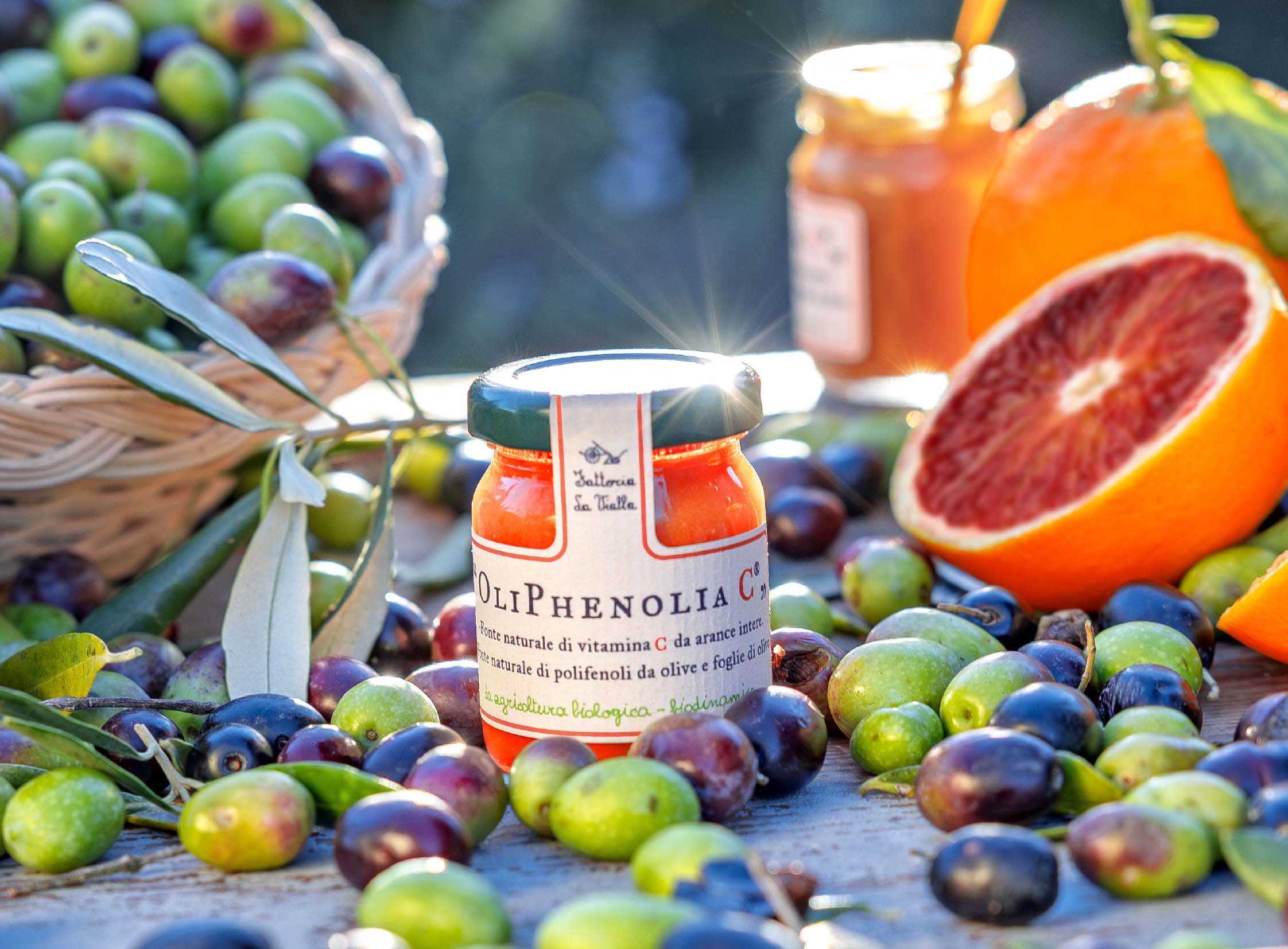 Biodynamic dietary supplement OliPhenolia C with Orange (Box with 16 ...