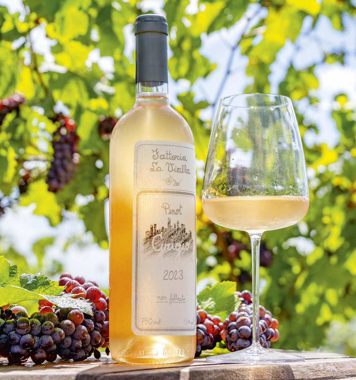 Pinot grigio white wine store