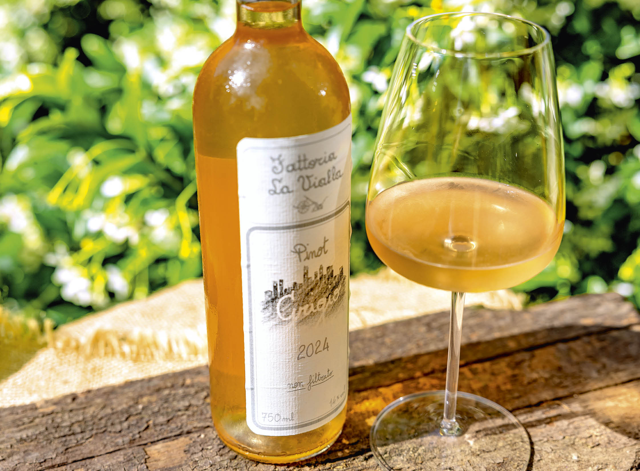 Weißwein, ungefiltert Pinot Grigio I.G.T. 2024 (Karton mit 6 Flaschen ...