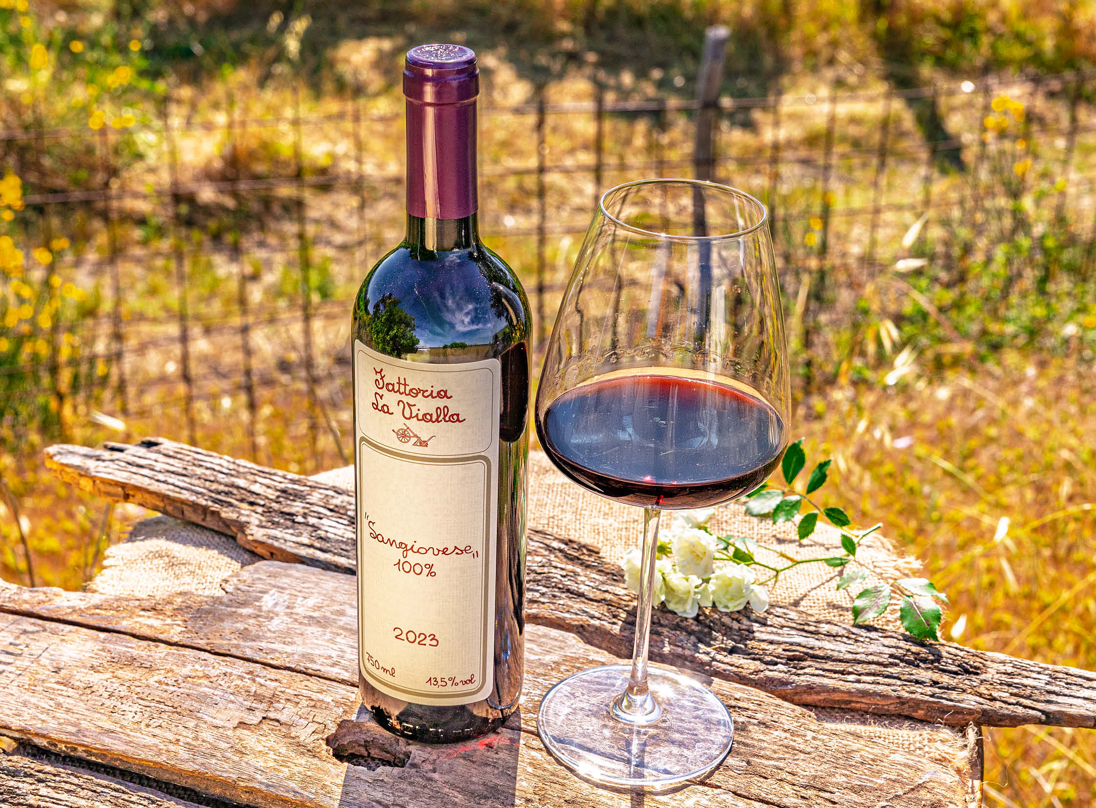 Red wine Sangiovese 100% I.G.T. 2023 (Box with 6 bottles of 0.75 l ...