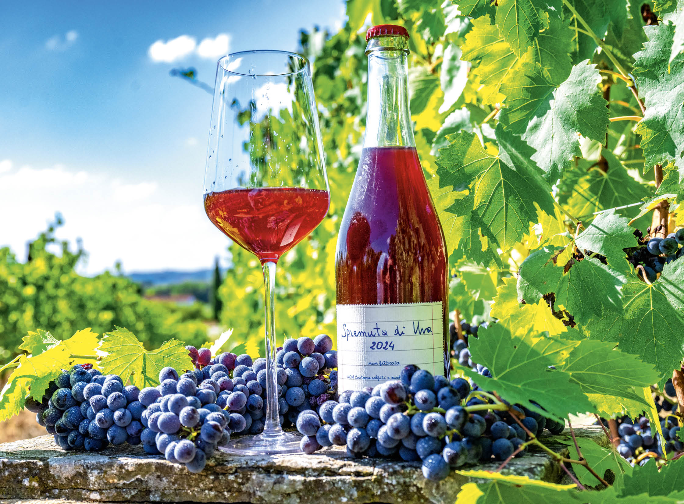 Freshly squeezed red grape juice, unfiltered, pasteurized – 100% ...