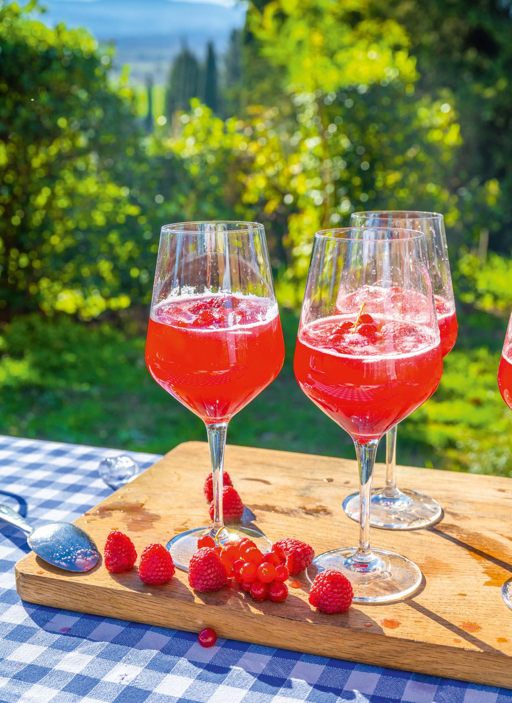 Gin fizz ai frutti rossi | Fattoria La Vialla