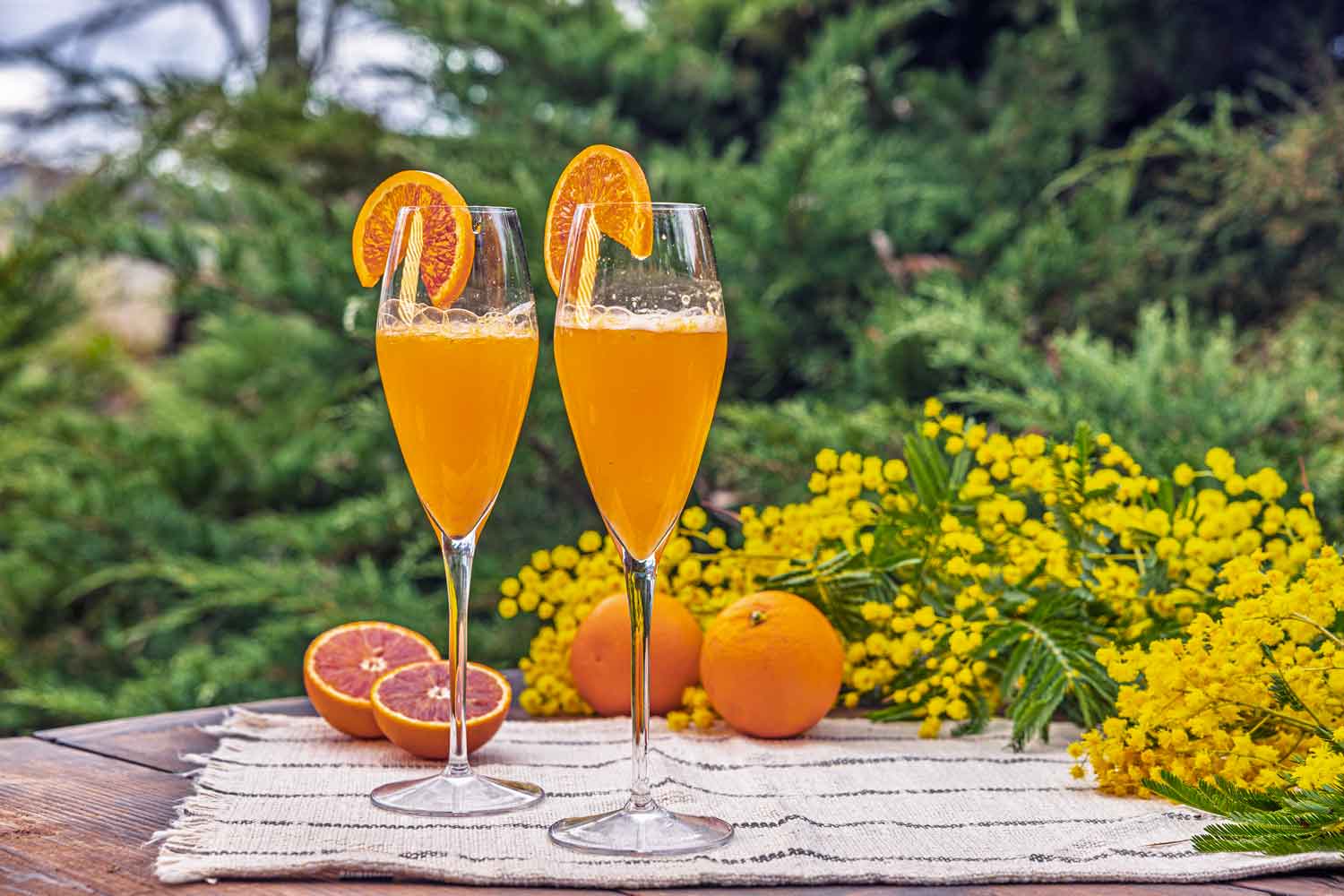 Mimosa della Fattoria | Fattoria La Vialla